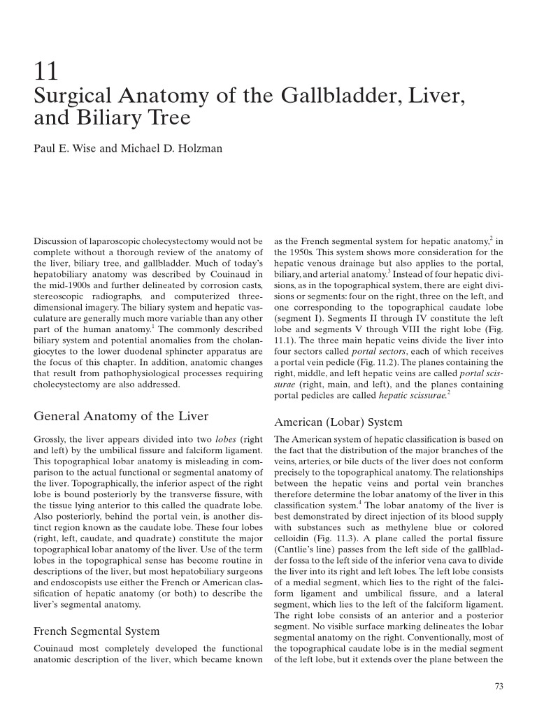 Surgical Anatomy of Liver and Gallbladder | PDF | Liver | Gallbladder