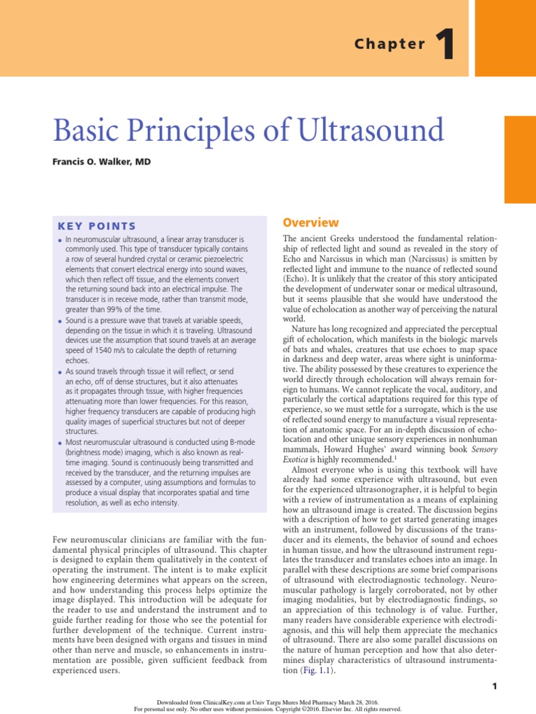 Principles of Ultrasound | PDF | Thumb | Medical Ultrasound