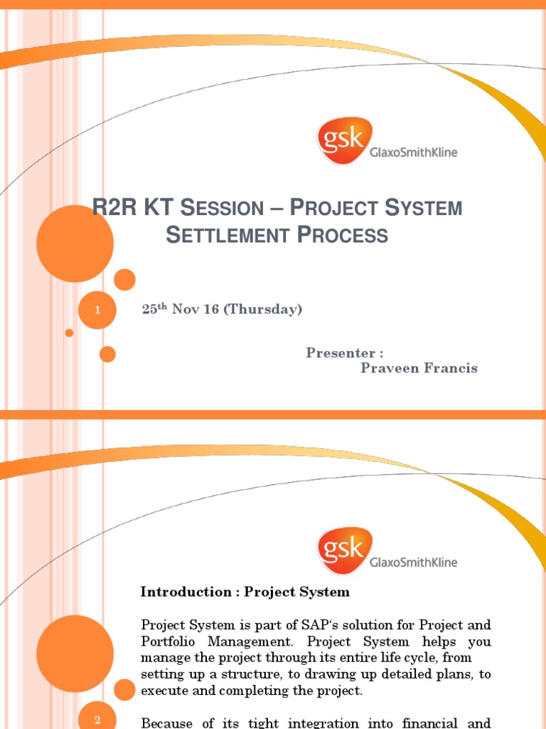 Sap WBS | PDF | Business | Economies