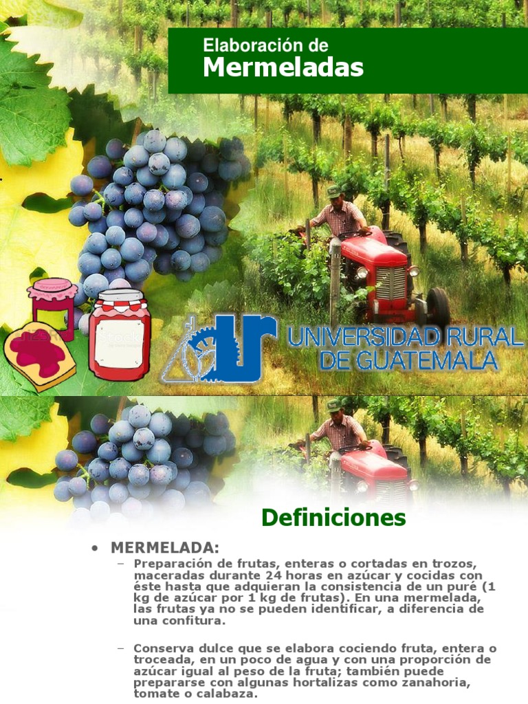 Produccion de Mermeladas | PDF | Comida y bebida | Alimentos