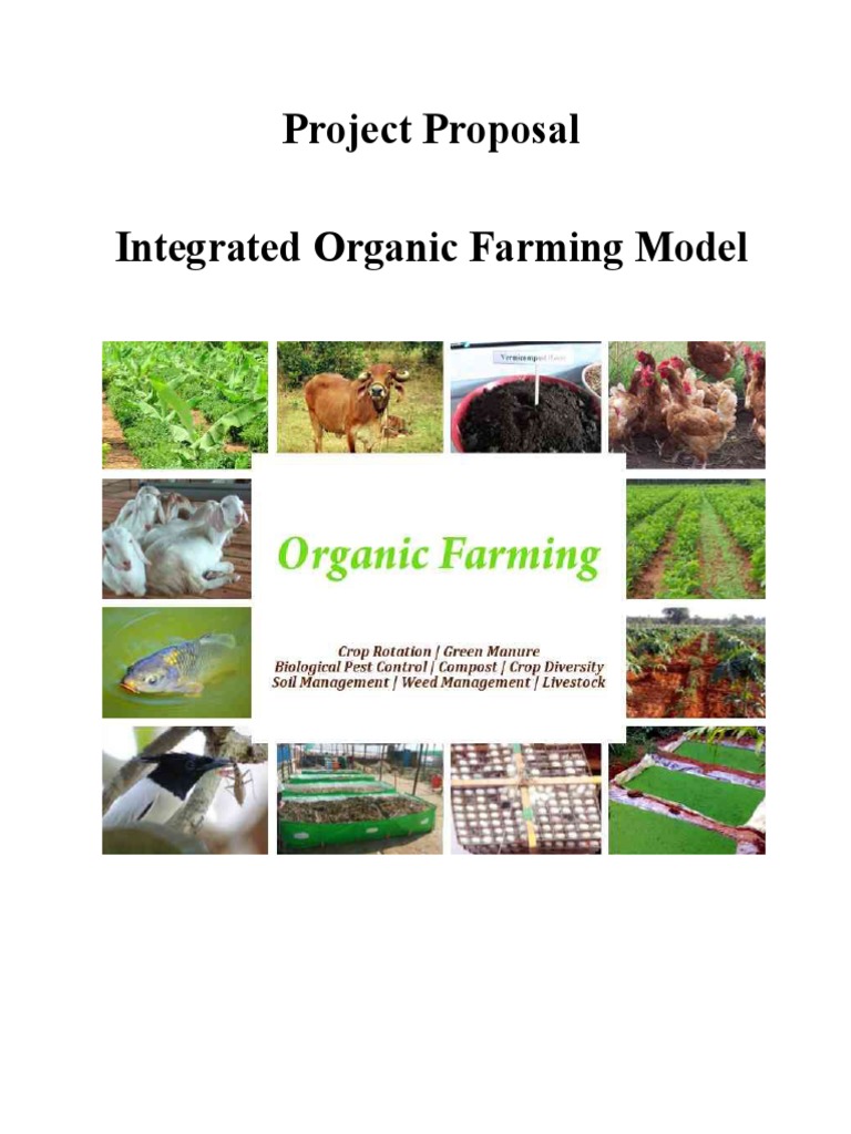 Preliminary Project Model | PDF | Honey Bee | Beekeeping
