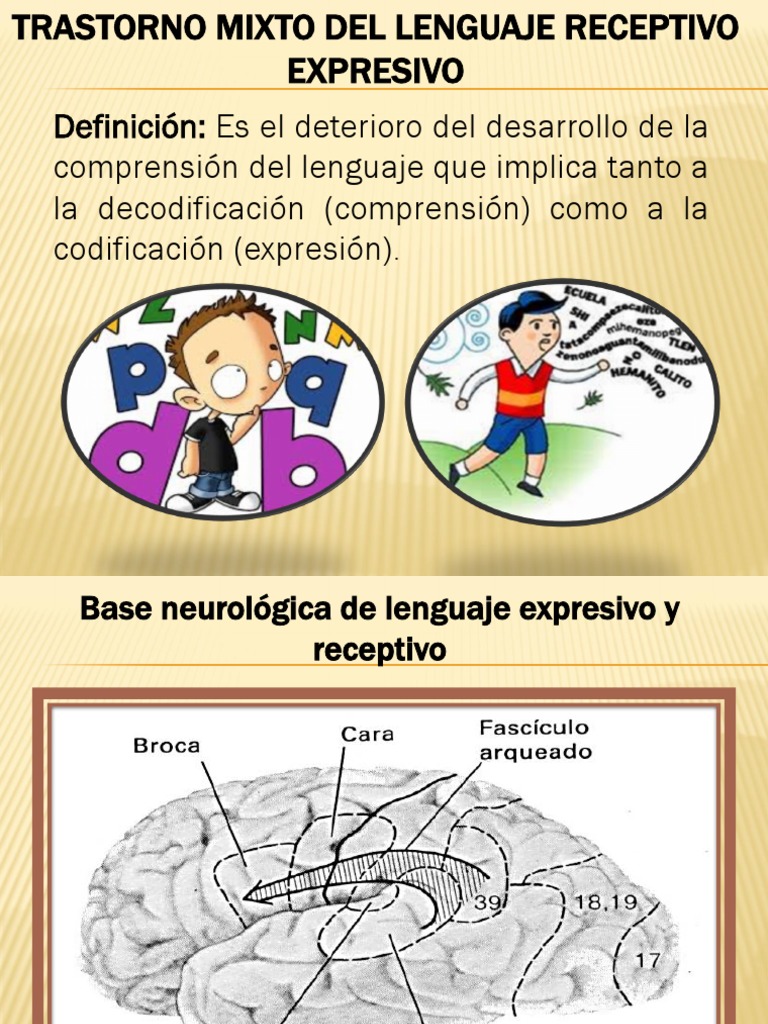 Trastorno Mixto Del Lenguaje Receptivo Expresivo | PDF | Discapacidad ...