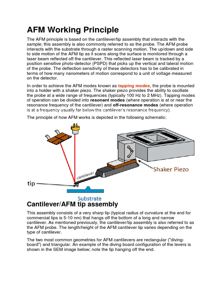 AFM Working Principle: Cantilever/AFM Tip Assembly | PDF | Atomic Force ...