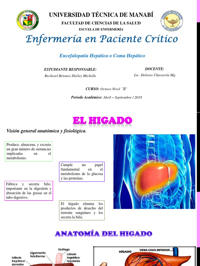 Coma Hepatico | PDF | Metabolismo | Hígado