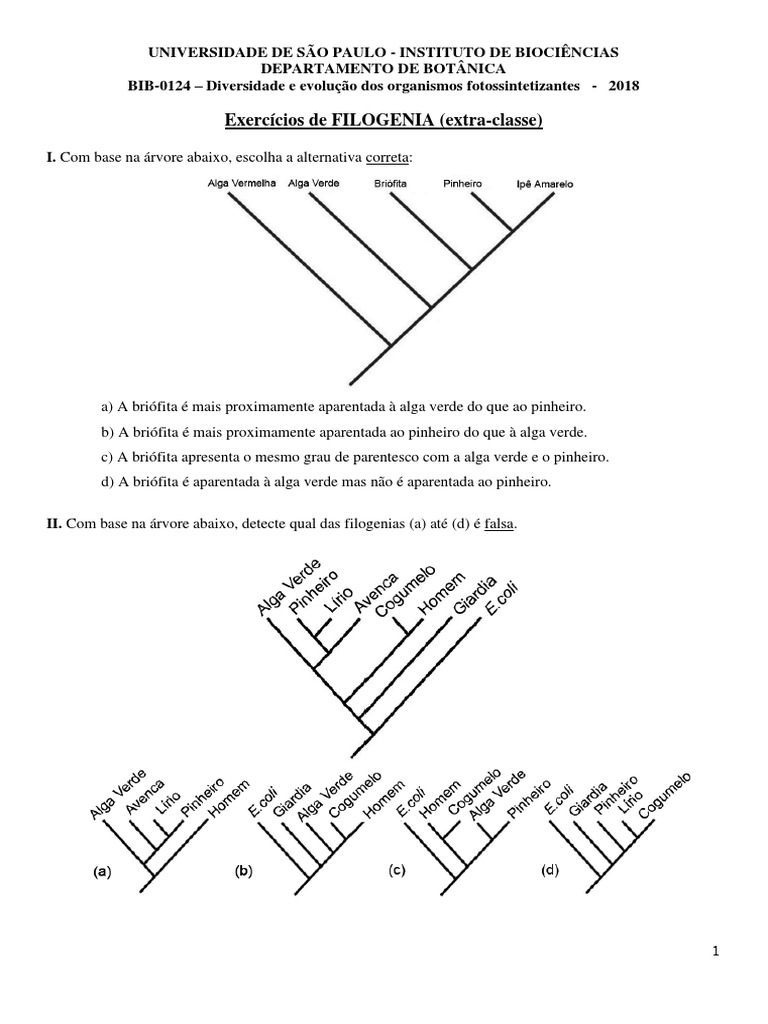 E1 Exercicios de Filogenia 2018 | PDF | Filogenética | Plantas