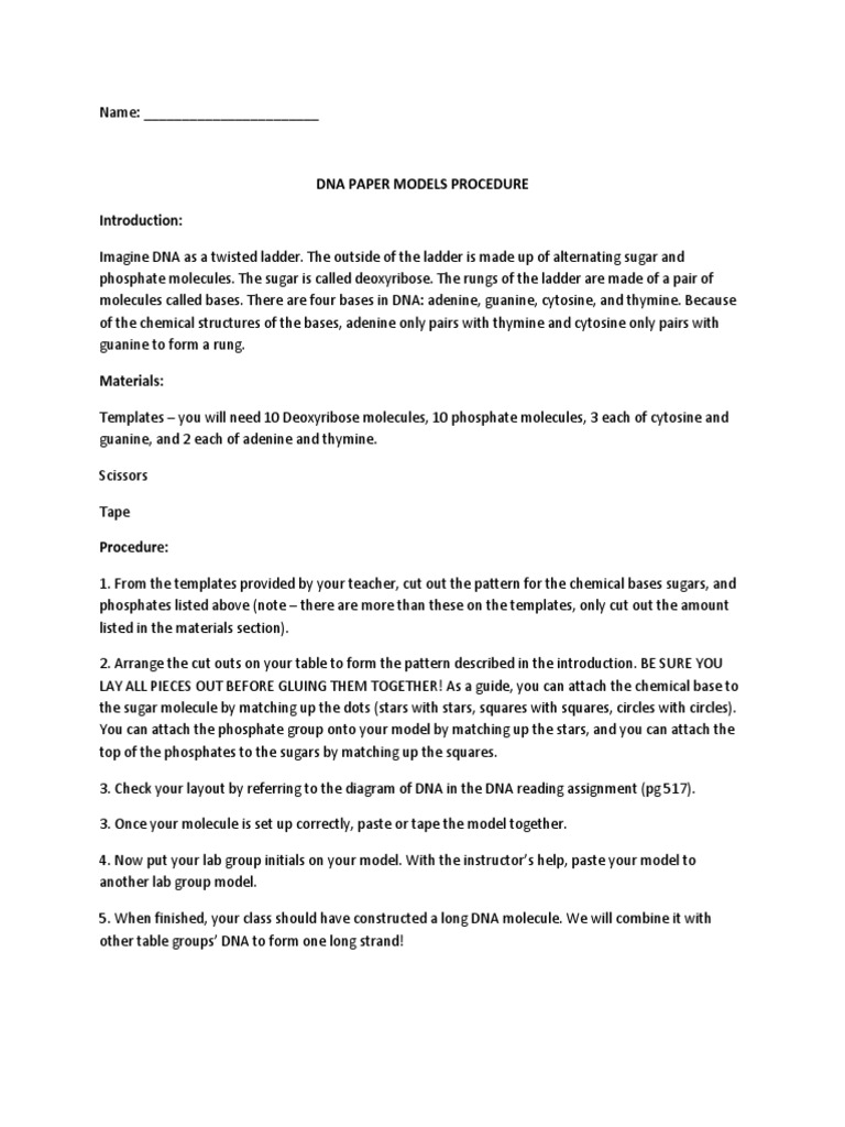 DNA Model Building Guide | PDF | Nucleotides | Dna