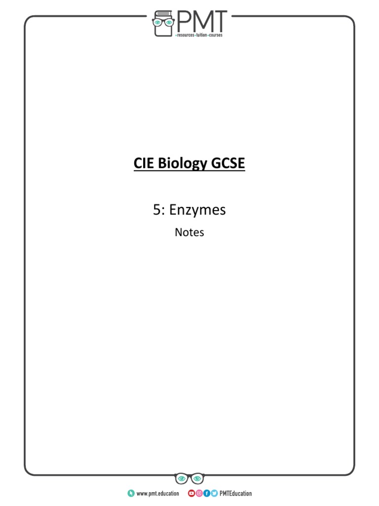 Summary Notes - Topic 5 Enzymes - CIE Biology IGCSE | PDF