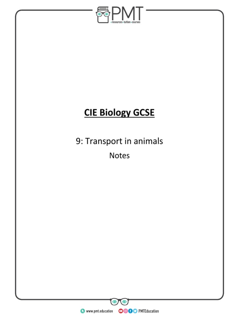 Summary Notes - Topic 9 Transport in Animals - CIE Biology IGCSE | PDF ...