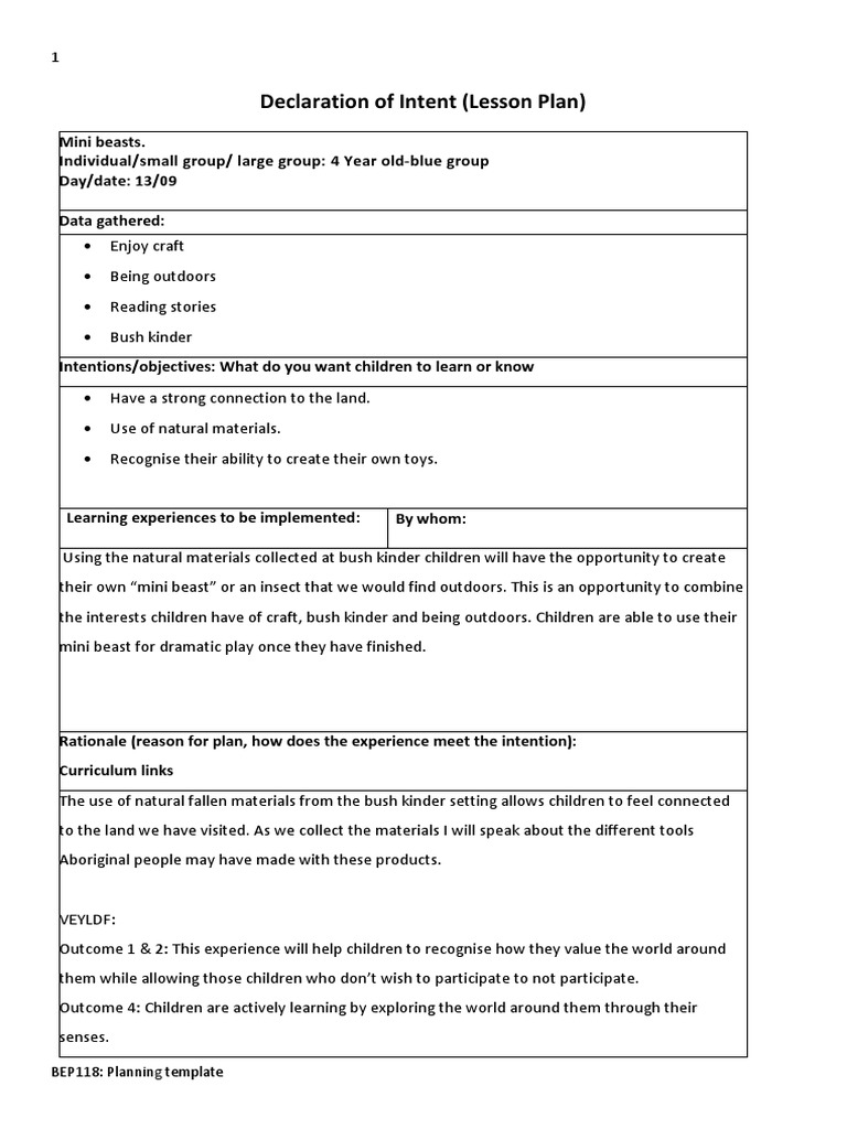 Declaration of Intent (Lesson Plan) | PDF | Learning | Cognition