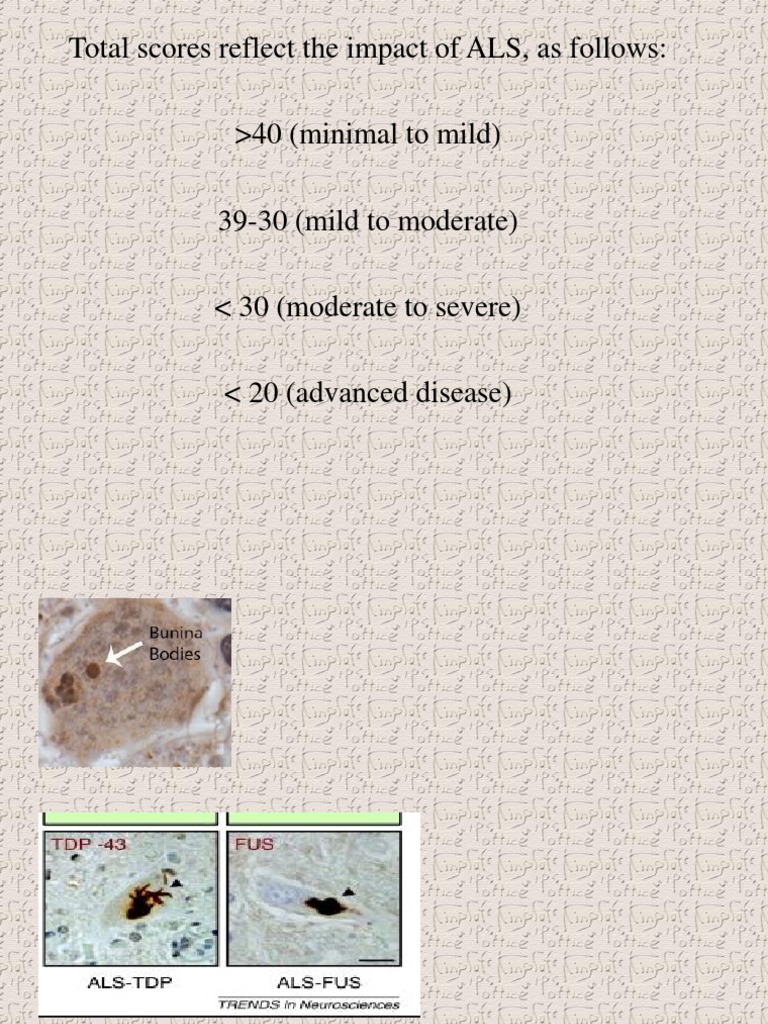 Total Scores Reflect The Impact of ALS, As Follows | PDF | Science ...