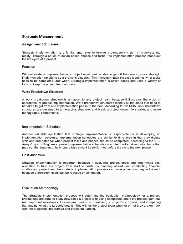 Strategic Management Assignment 1: Essay: Function | PDF | Mentorship ...