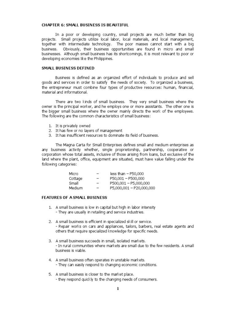 Small Business in Developing Nations | PDF | Small Business ...