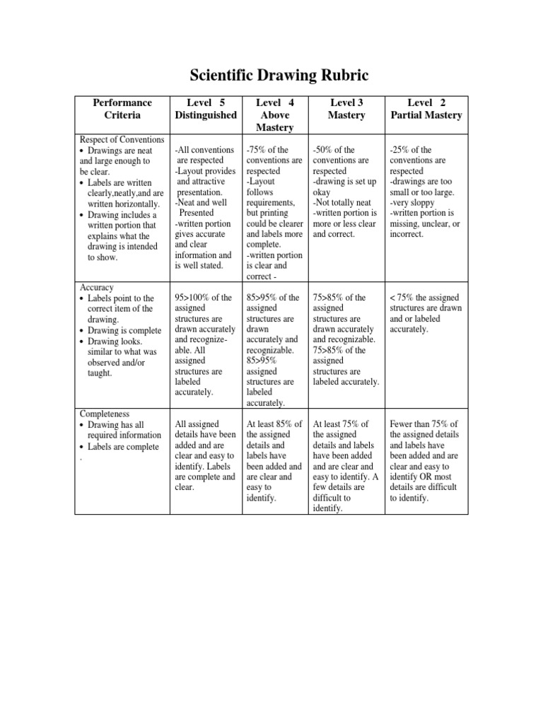 Scientific Drawing Rubric | PDF | Cognition | Cognitive Science