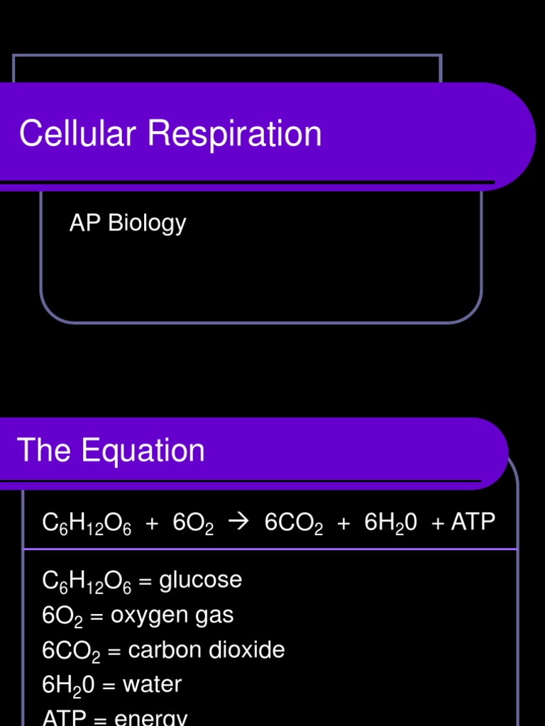 AP Biology: Cellular Respiration Overview | PDF | Adenosine ...