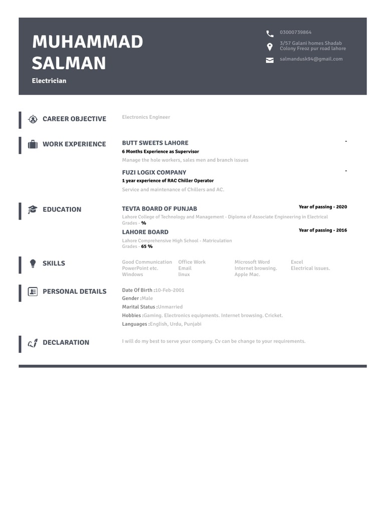 CV Template | PDF