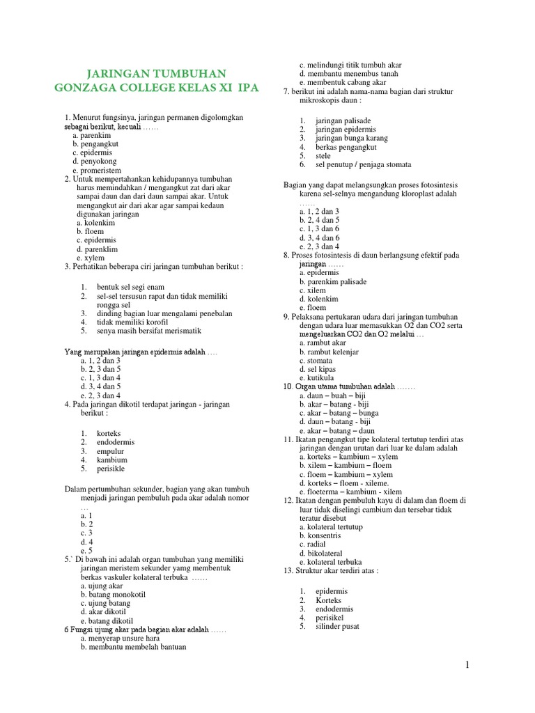 LATIHAN SOAL BIOLOGI KELAS XI-Jaringan Tumbuhan PDF | PDF