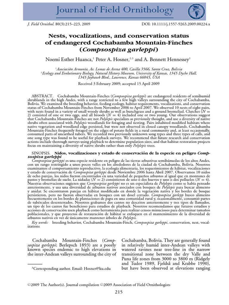 Nests, Vocalizations and Conservation Status of Endangered Cochabamba ...
