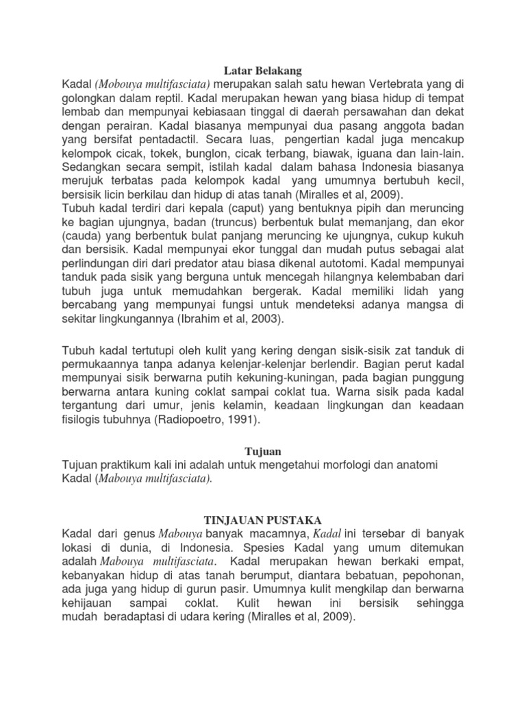 Anatomi Kadal 3 | PDF