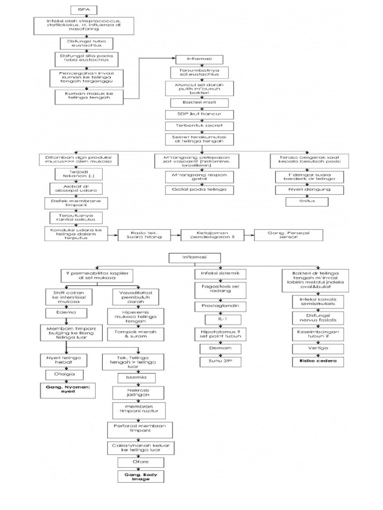 Pathway Otitis Media