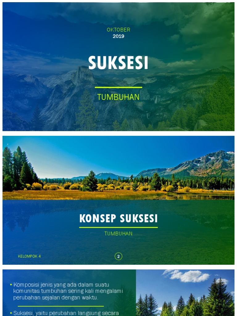 Proses Suksesi Tumbuhan: Primer & Sekunder | PDF