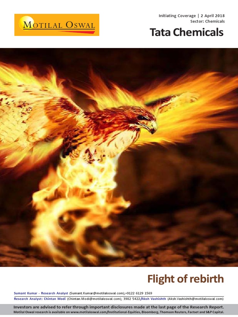 Tata Chemicals: Flight of Rebirth | PDF | Fertilizer | Investing