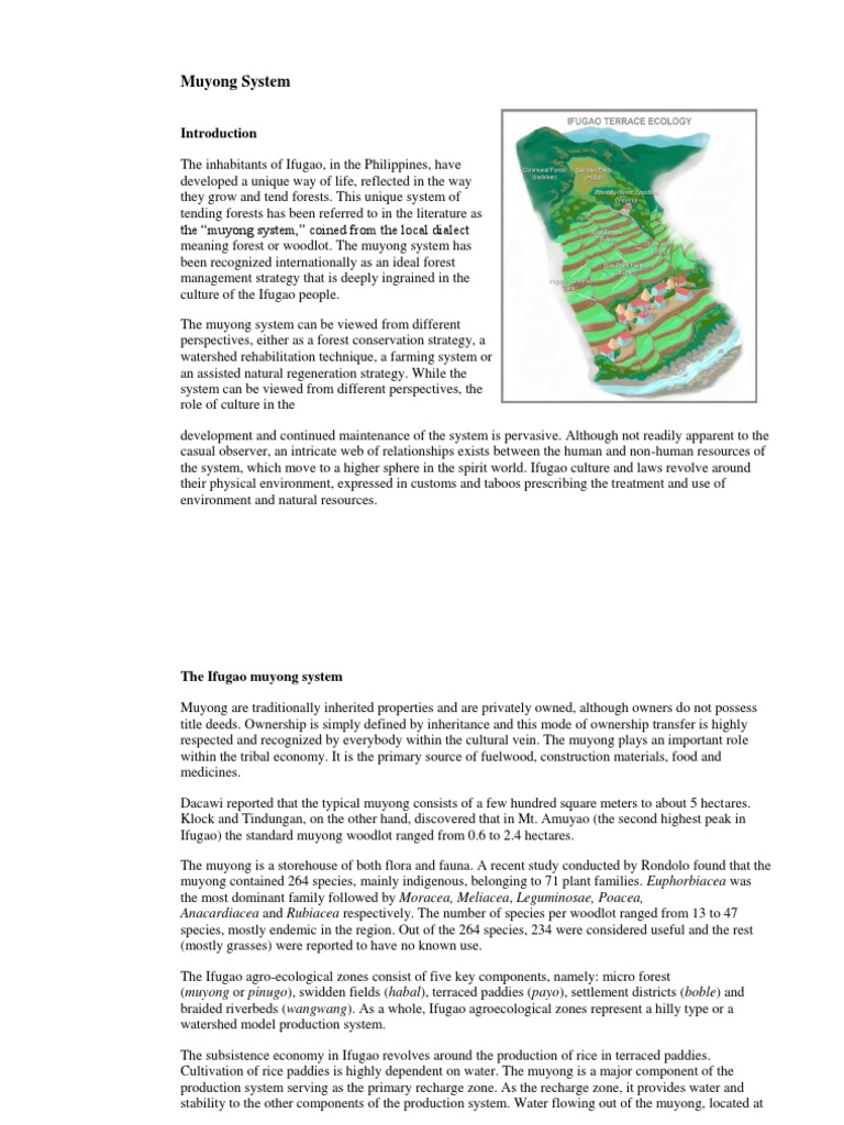 Muyong System | PDF | Trees | Forests