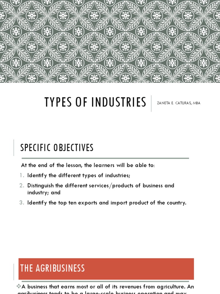 Chapter 3 - Types of Industries | PDF | Retail | Rice