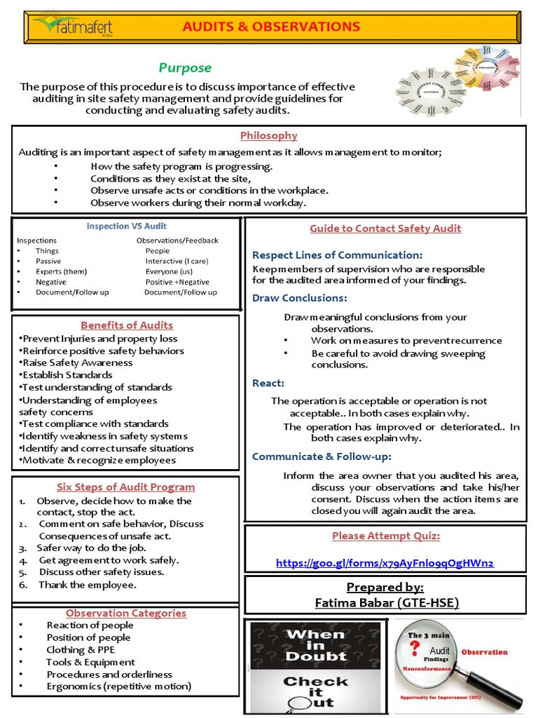Audits Observations REV 01 PDF | PDF | Safety | Audit