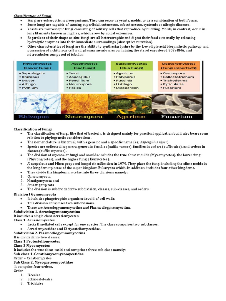 Fungi Classification Overview | PDF | Fungus | Organisms