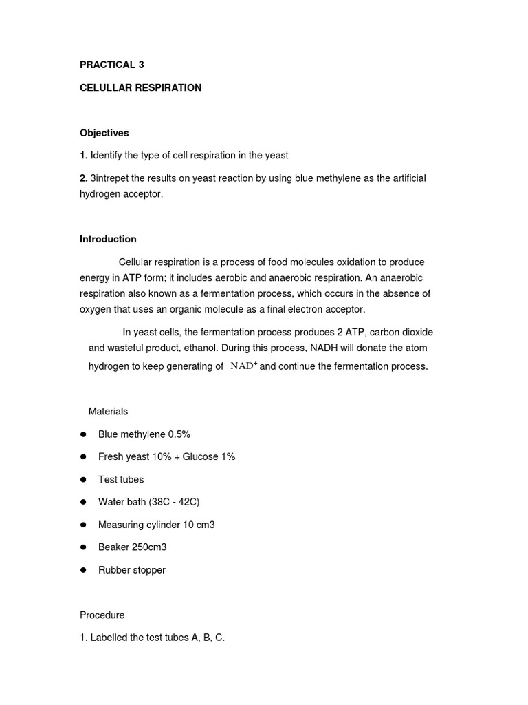 Lab 3 - Cellular Respiration | PDF