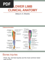 Sign Nail IM Technique Manual PDF | PDF | Knee | Human Leg