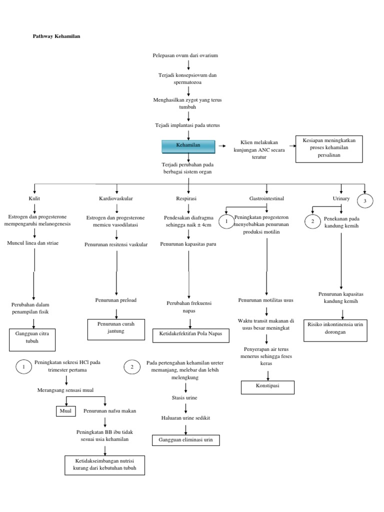 Pathway Kehamilan 2015 | PDF