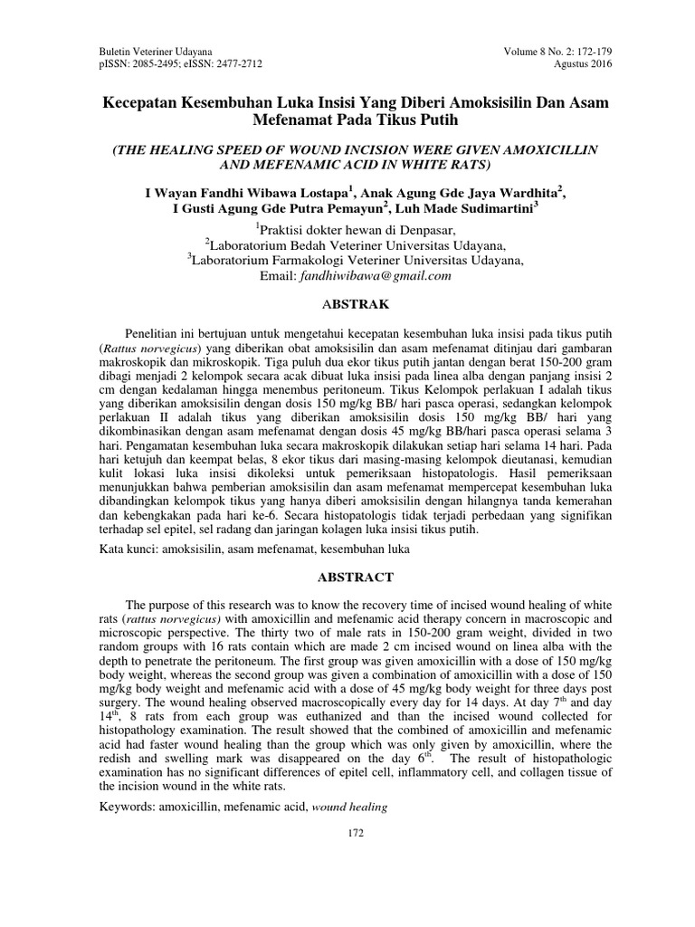 Kecepatan Kesembuhan Luka Insisi Yang Diberi Amoksisilin Dan Asam ...