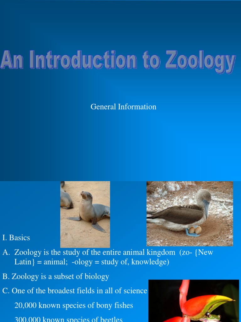 Intro To Zoology-1 | PDF