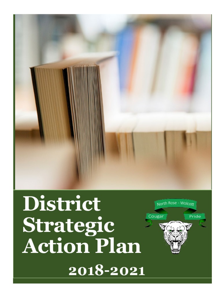 Strategic Action Plan | PDF | Teachers | Literacy