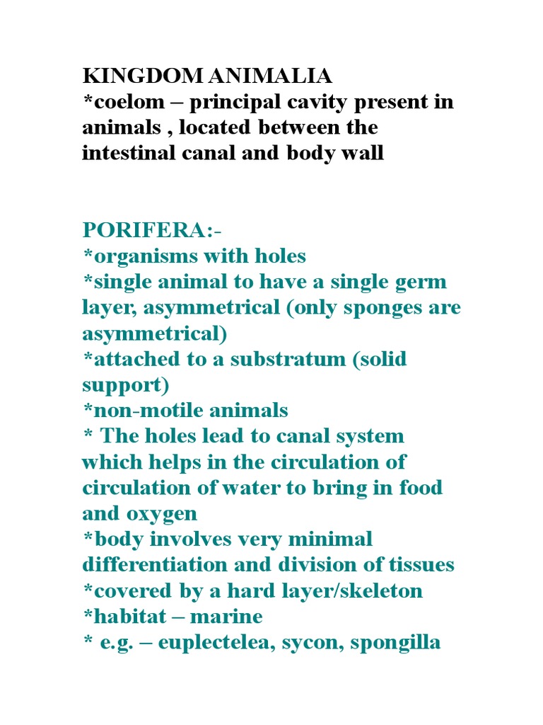 Kingdom Animalia | PDF | Fish | Zoology