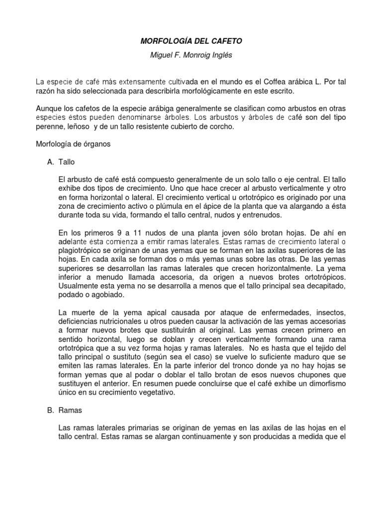 Morfología del Cafeto: Estructura y Crecimiento | PDF | Tallo de la ...
