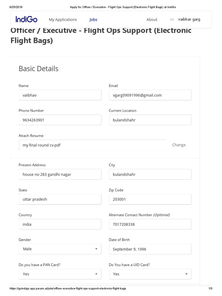 Flight Attendent Interview Performa | PDF | Computing | Business