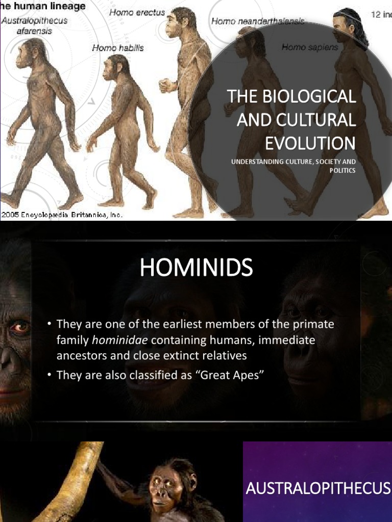 The Biological and Cultural Evolution: Understanding Culture, Society ...
