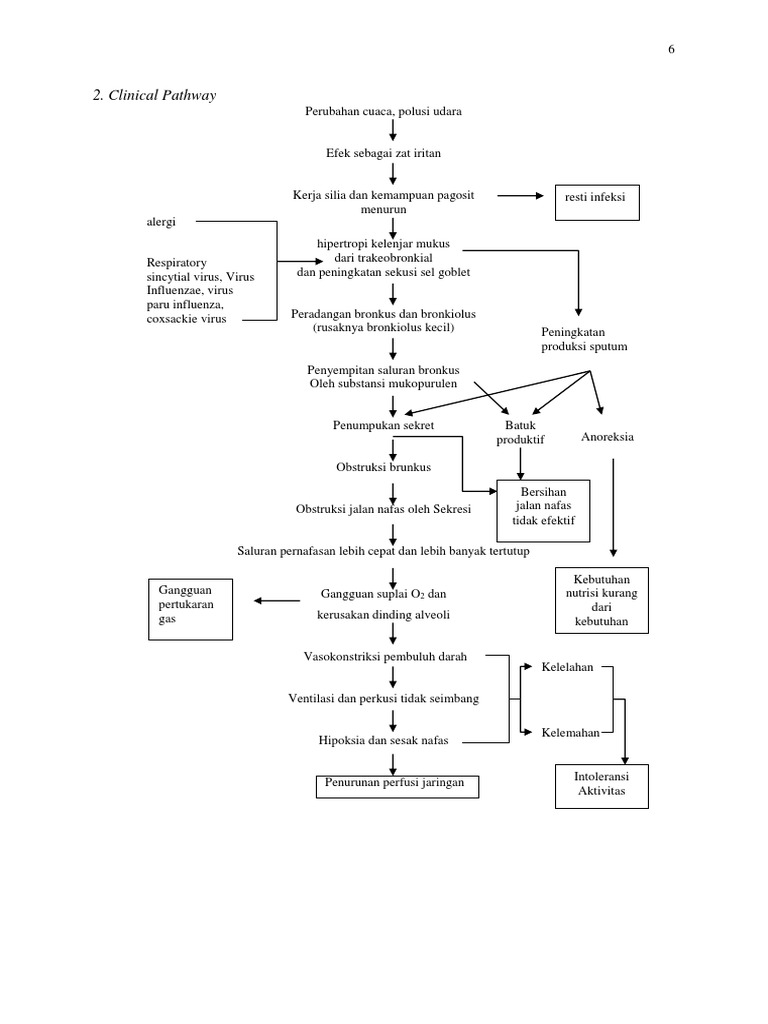 Pathway Bronchitis | PDF