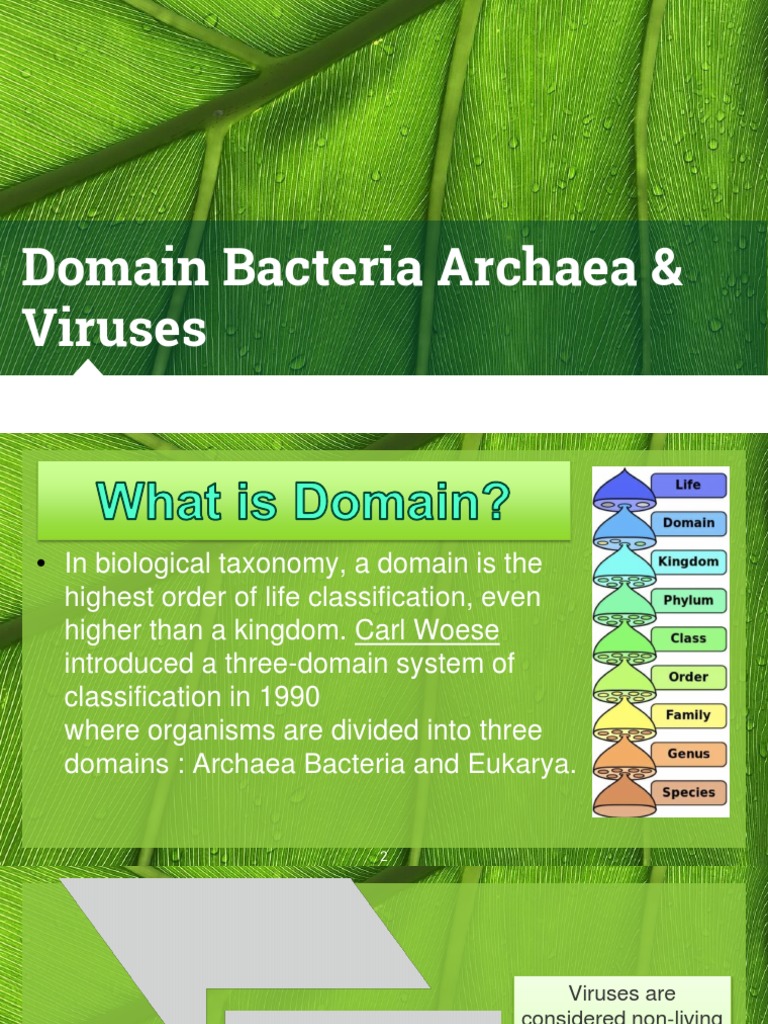 An Overview of the Three Domains of Life: Bacteria, Archaea, Eukarya ...