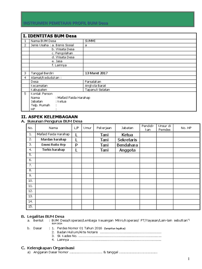 Form Profil BUMDES 2019 | PDF