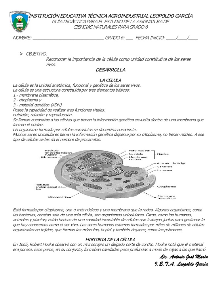 Guía de Ciencias Naturales Grado 6 | PDF | Biología Celular) | Nucleo ...