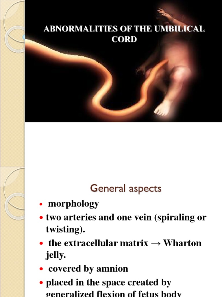 Umbilical Cord Abnormalities Guide | PDF | Fetus | Childbirth