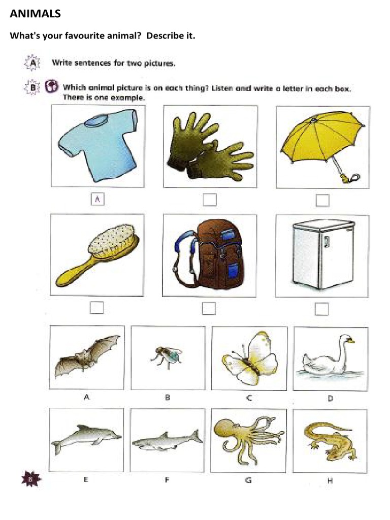 Animals Listening Activity | PDF