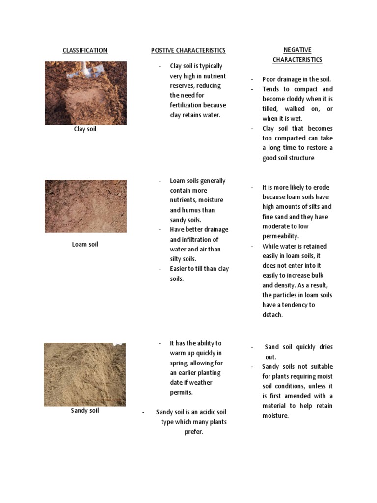 Characteristics Of Sandy Soil