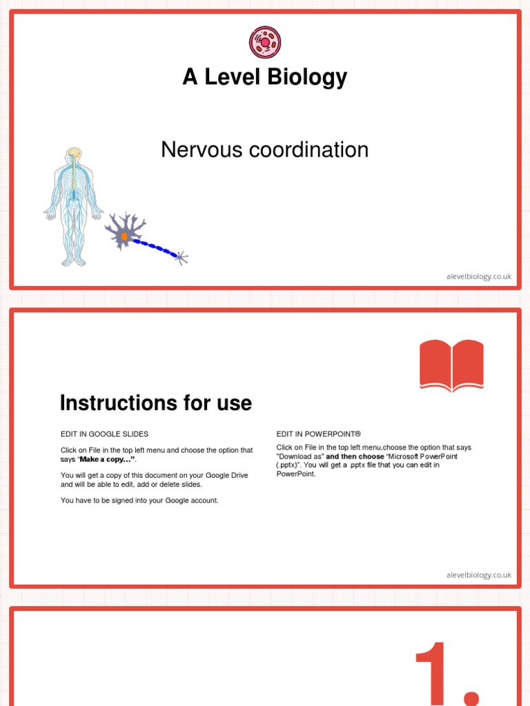 A Level Biology: Nervous Coordination | PDF | Action Potential ...