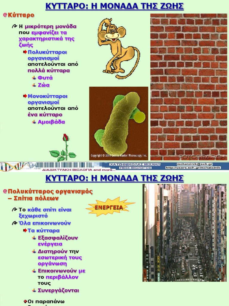 ΚΥΤΤΑΡΟ | PDF