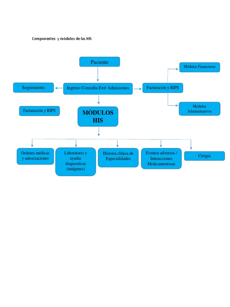 Módulos HIS: Paciente | PDF
