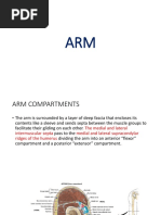 Goniometry Landmarks | PDF | Anatomical Terms Of Motion | Anatomical ...